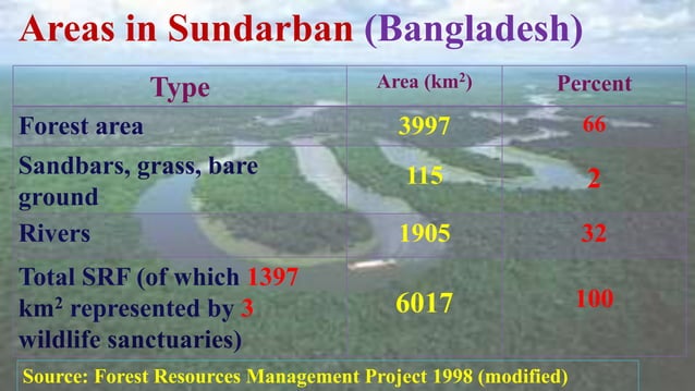 Presentation on Sundarban, Bangladesh | PPTX | Asia Travel | Travel ...