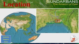 Presentation on Sundarban, Bangladesh | PPTX