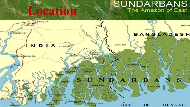 Presentation on Sundarban, Bangladesh | PPTX | Asia Travel | Travel ...