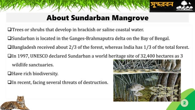 Sundarban Mangrove Ecosystem Threats And Opportunities In Terms Of