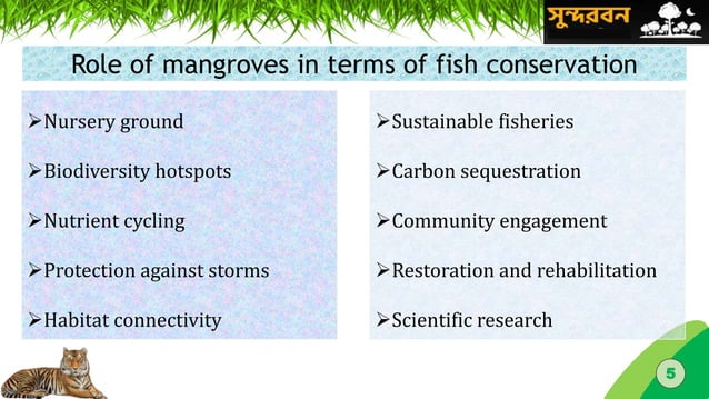 Sundarban mangrove ecosystem: Threats and opportunities in terms of ...