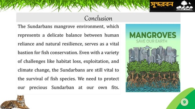 Sundarban Mangrove Ecosystem Threats And Opportunities In Terms Of