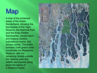 Sundarbans National Park Map