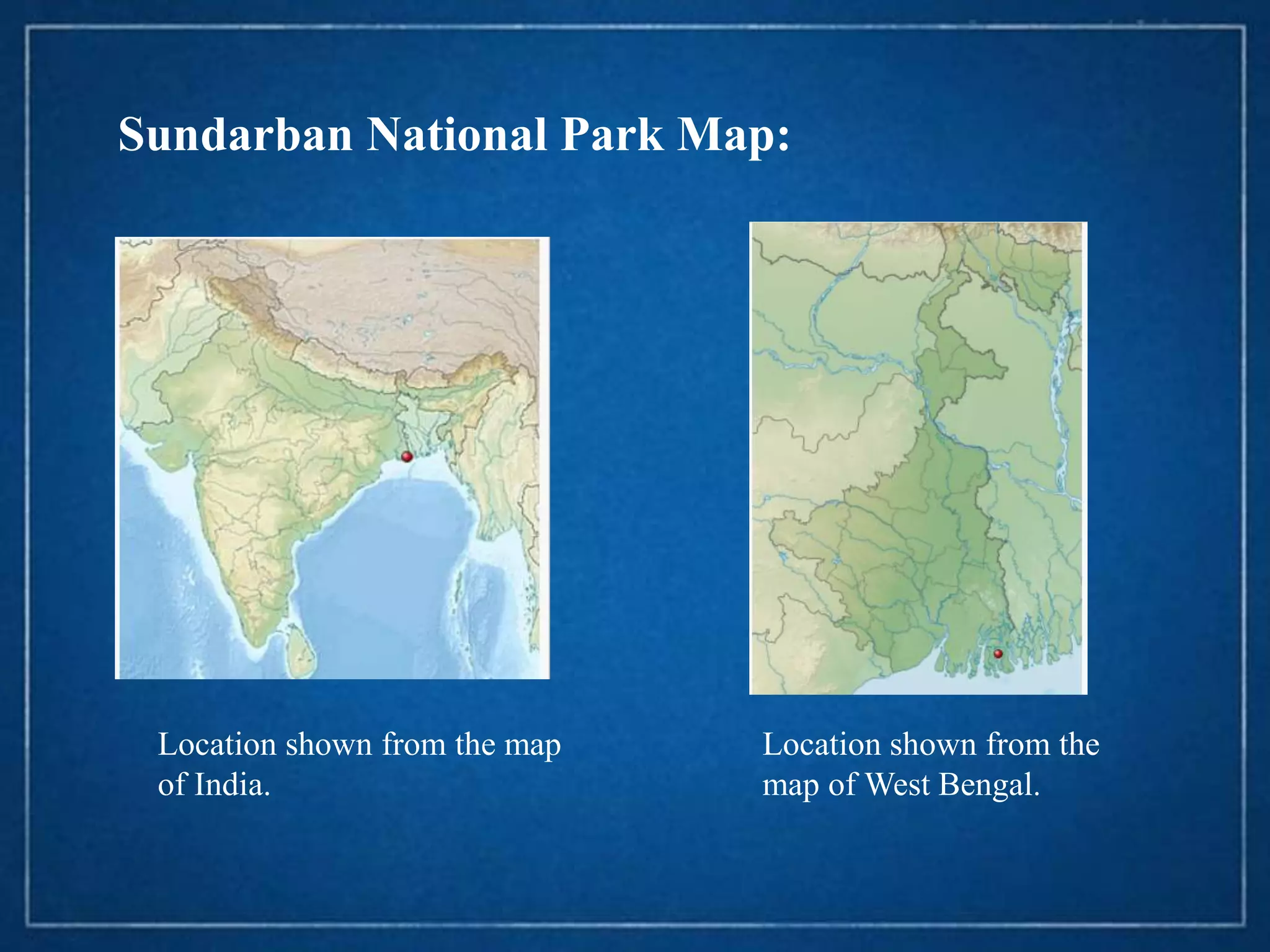 Sundarban National Park.pptx | Parks | Attractions