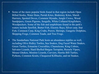 Sundarban National Park.pptx | Parks | Attractions