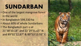 Biodiversity and conservation status of mangrove forest, Sundarbans | PPTX