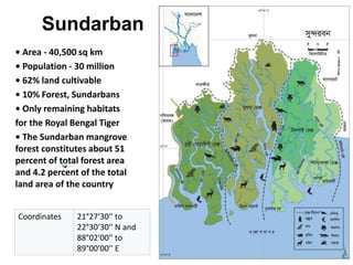 Sundarban tourism by srijon | PPTX