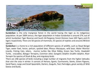 Sundarbuns (West Bengal ) | PDF | Day Trips | Travel Type