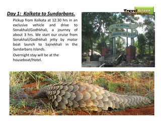 Sundarbuns (West Bengal ) | PDF | Day Trips | Travel Type