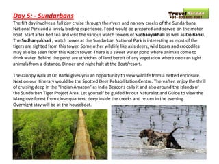 Sundarbuns (West Bengal ) | PDF | Day Trips | Travel Type