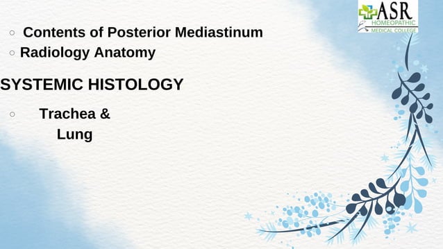Anatomy syllabus_PPT (1).pptx_20250119_181659_0000.pdf