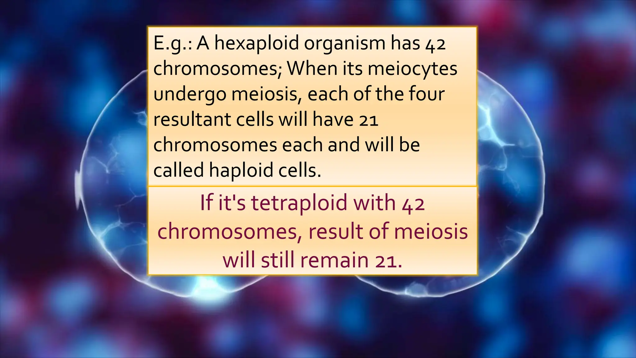 Haploidy breeding for ppt Ranjeet maurya | PPT
