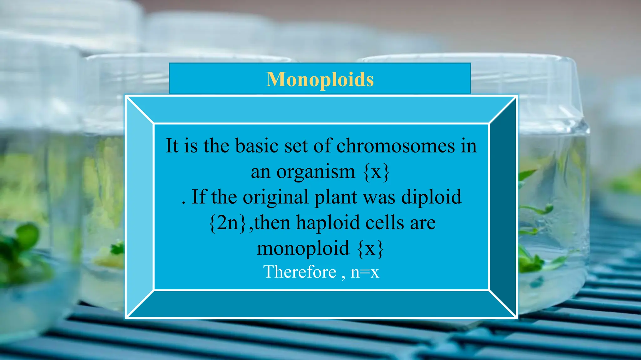 Haploidy breeding for ppt Ranjeet maurya | PPT