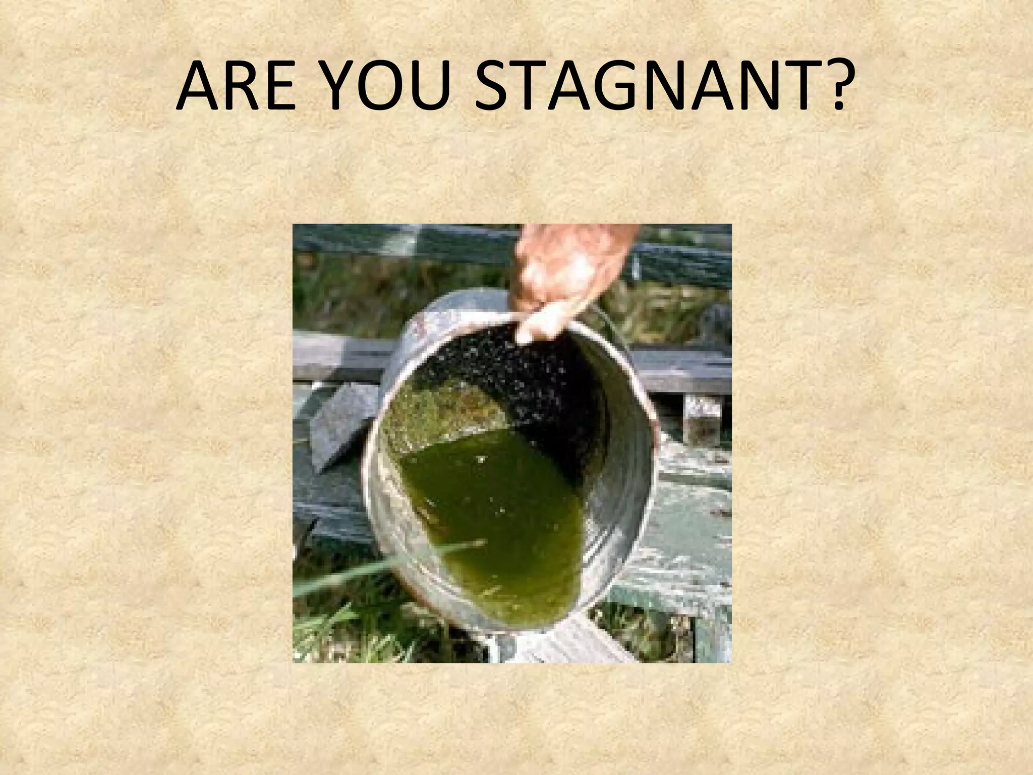 Don't be Stagnant | PPT