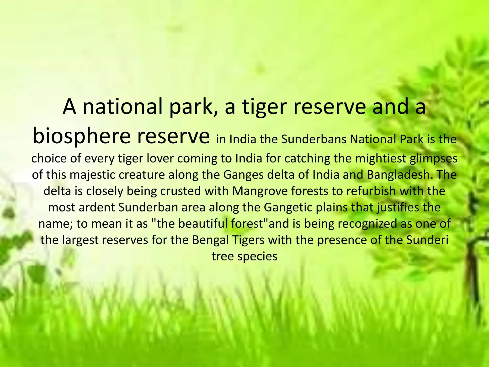 Sunderban biosphere reserve | PPTX