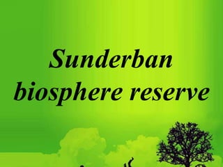 Sunderban biosphere reserve | PPTX