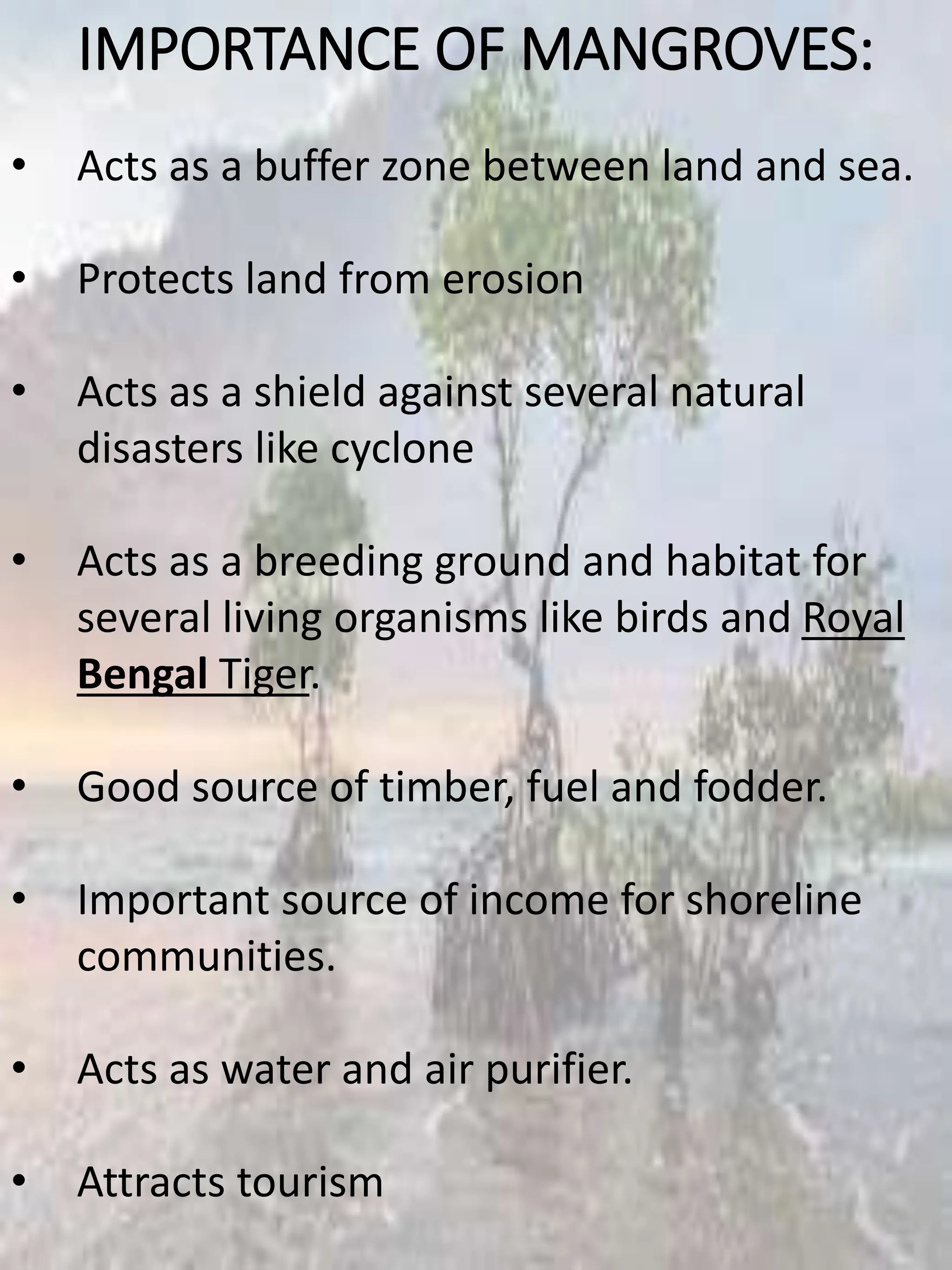 SUNDERBANS-a case study(E.V.S. PROJECT).pptx