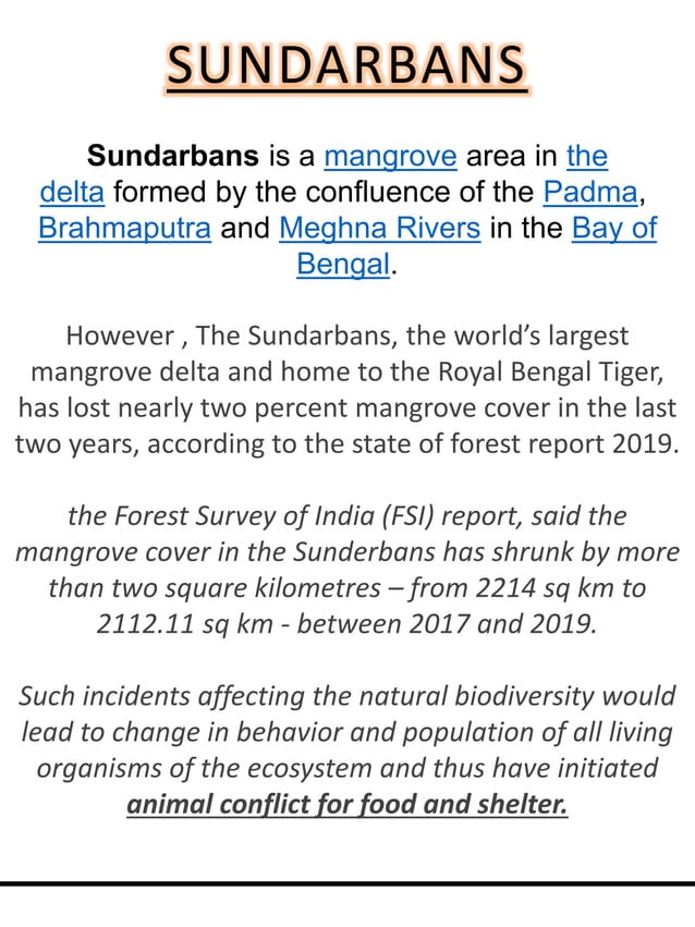 SUNDERBANS-a case study(E.V.S. PROJECT).pptx | Environment | Science
