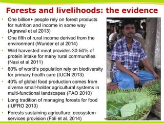 Forests, food security and nutrition | PPT