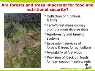 Forests, food security and nutrition | PPT | Environment | Science