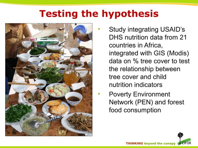 Forests, food security and nutrition | PPT