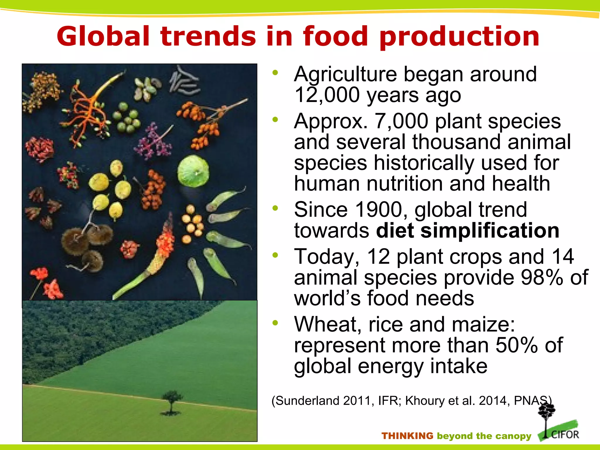 Forests, food security and nutrition: an update | PPT