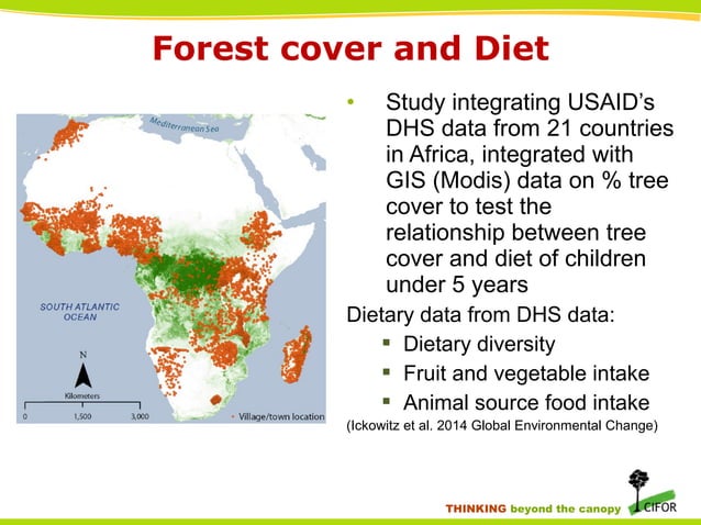 Forests, food security and nutrition: an update | PPT