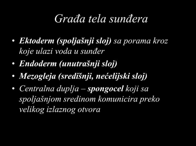 Sundjeri i dupljari tanja [autosaved] | PPT