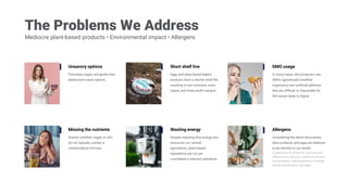 Sun Flour Baking Pitch Deck | PDF