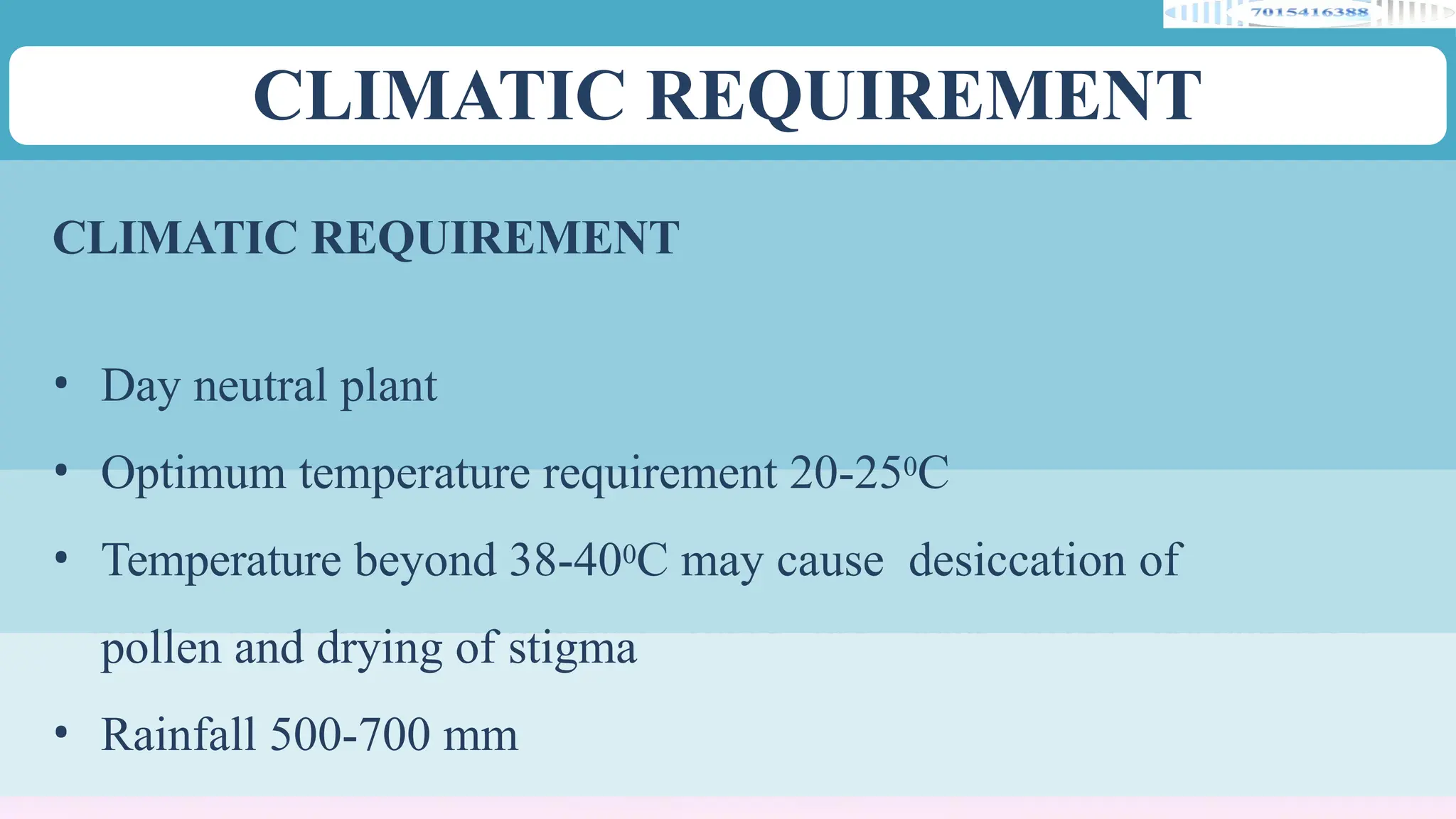 Cultivation Practices on Sunflower.pptx