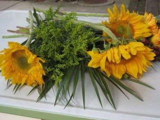 Sunflower Slide Show | PPT