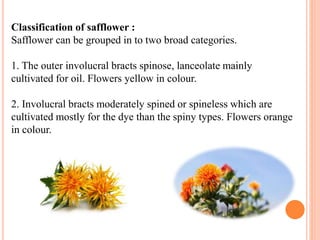 Sunflower and safflower | PPTX