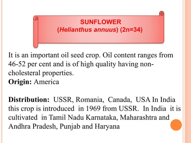 Sunflower and safflower | PPTX