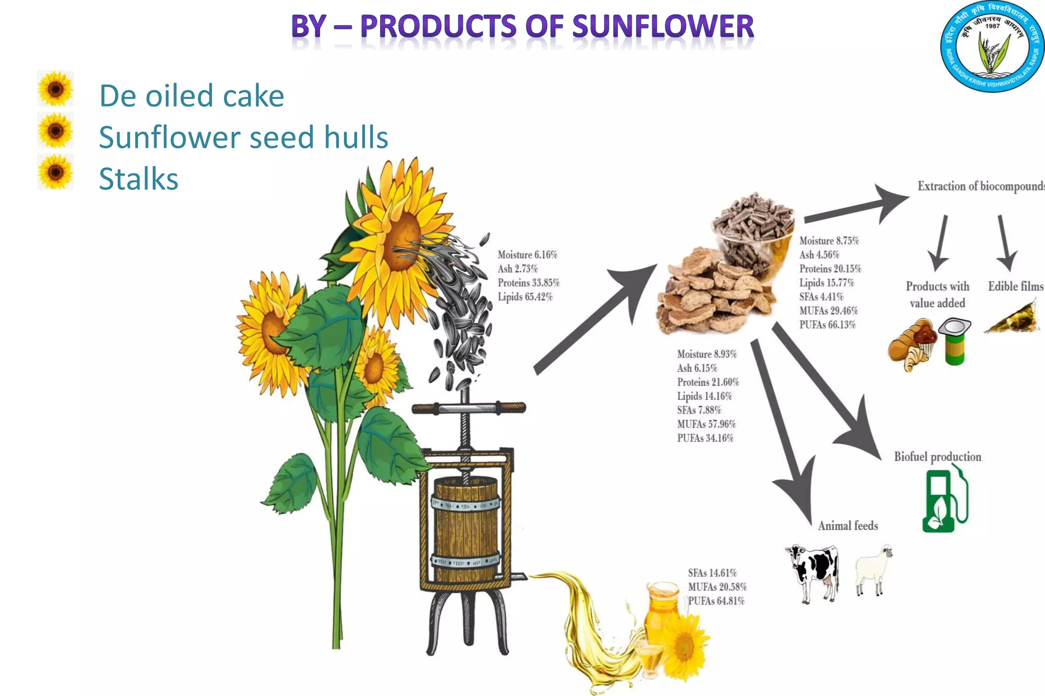 Sunflower By Products & its Utilization.pptx