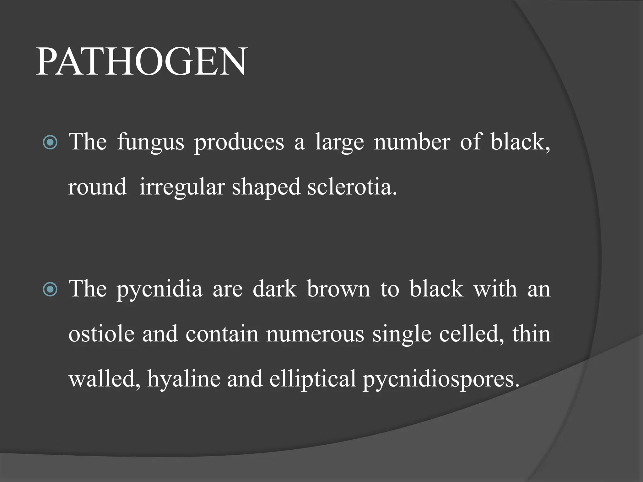 SUNFLOWER CHARCOAL ROT | PPTX