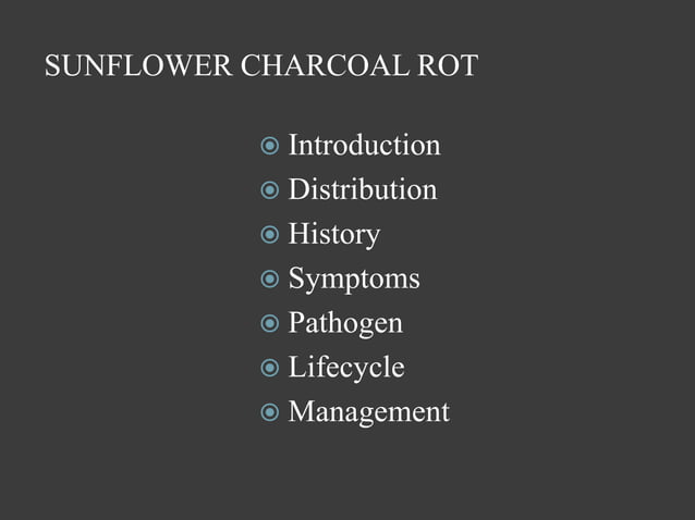 SUNFLOWER CHARCOAL ROT | PPT