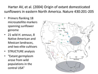 Sunflower domestication khanal_2010 | PPTX | Genealogy and Ancestry ...
