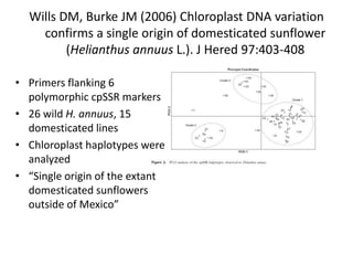 Sunflower domestication khanal_2010 | PPTX | Genealogy and Ancestry ...