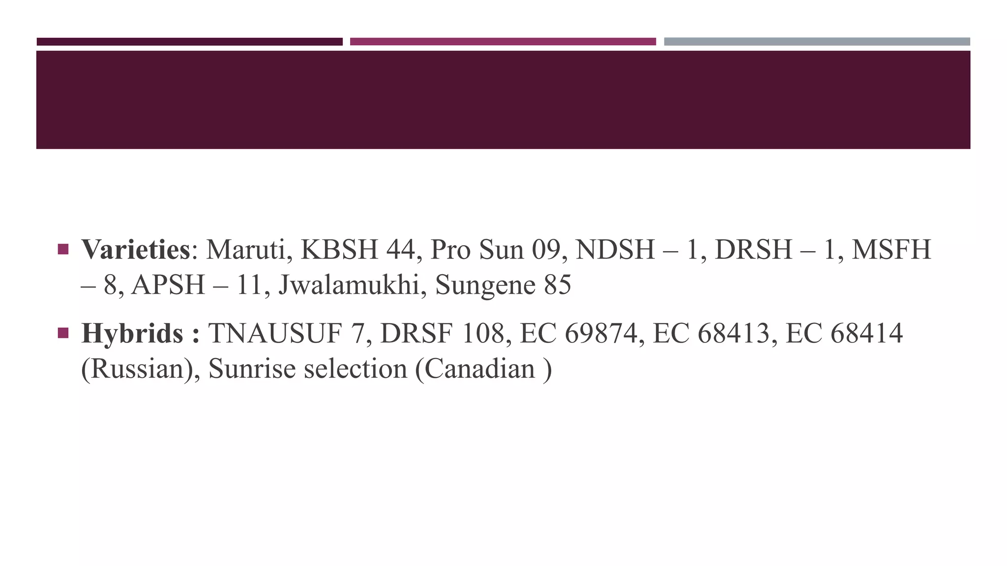 Sunflower crop cultivation | PPTX