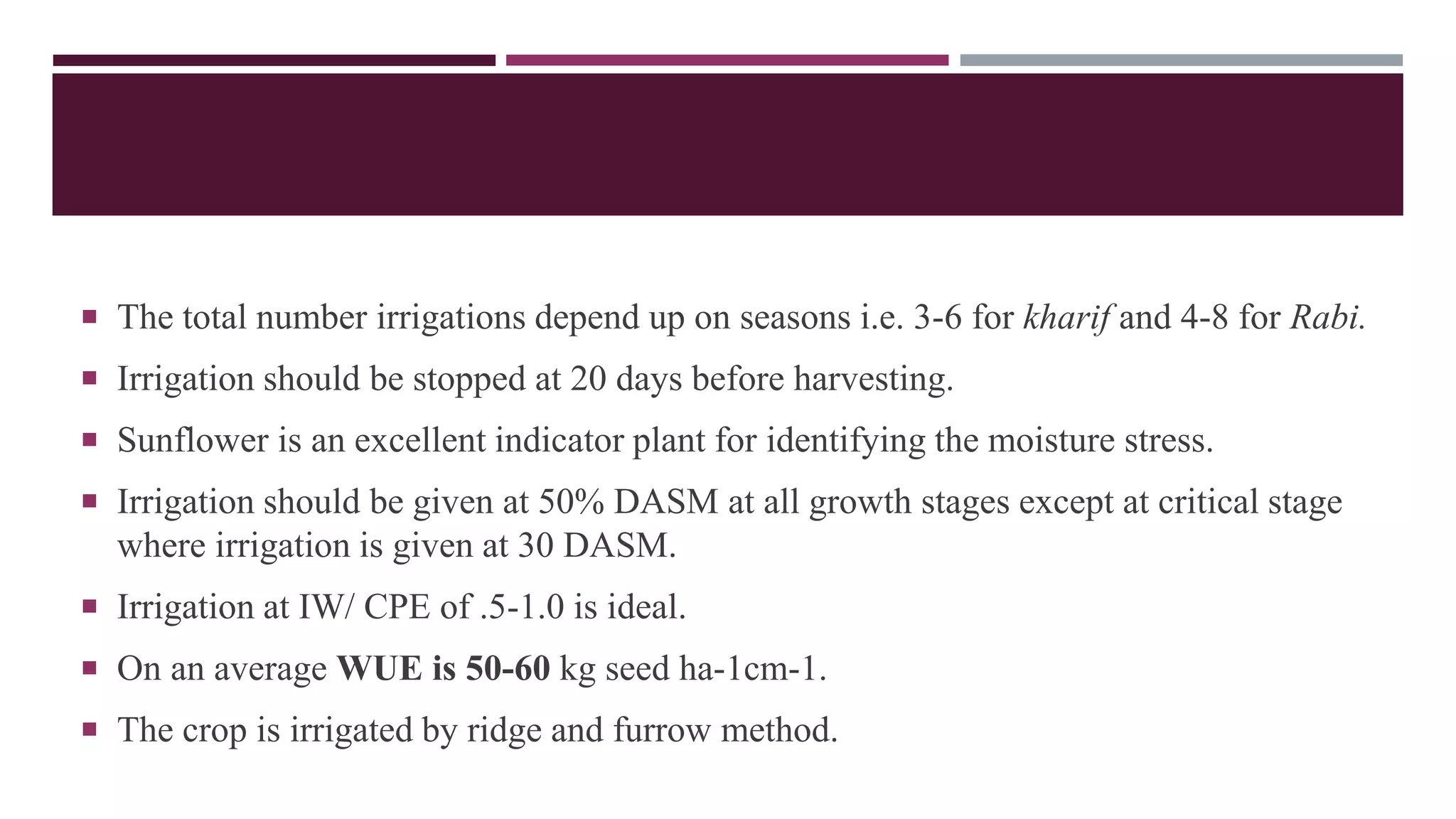 Sunflower crop cultivation | PPTX