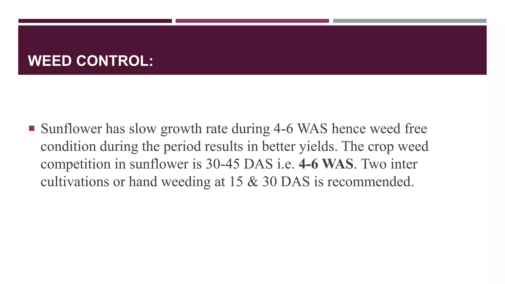 Sunflower crop cultivation | PPTX