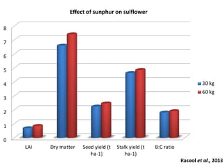 Sunflower nutrient management | PPTX