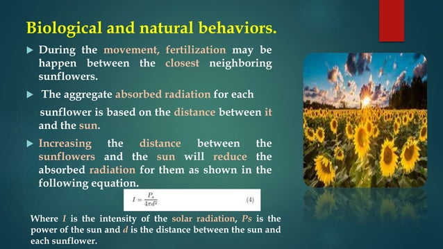 Sunflower optimization algorithm | PPTX