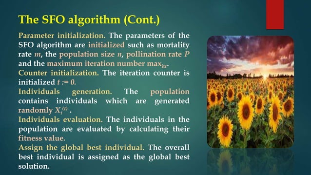 Sunflower Optimization Algorithm Pptx