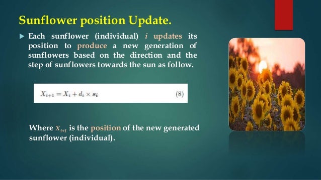 Sunflower Optimization Algorithm