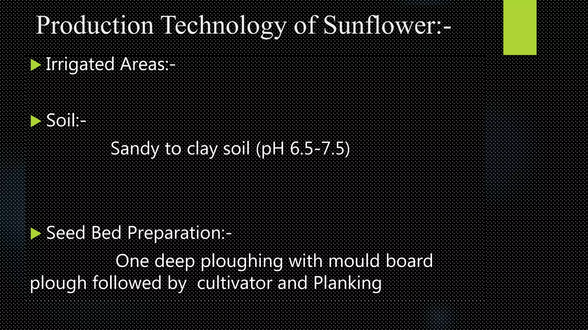 Sunflower History about world and Pakistan, Uses, importance, climate ...