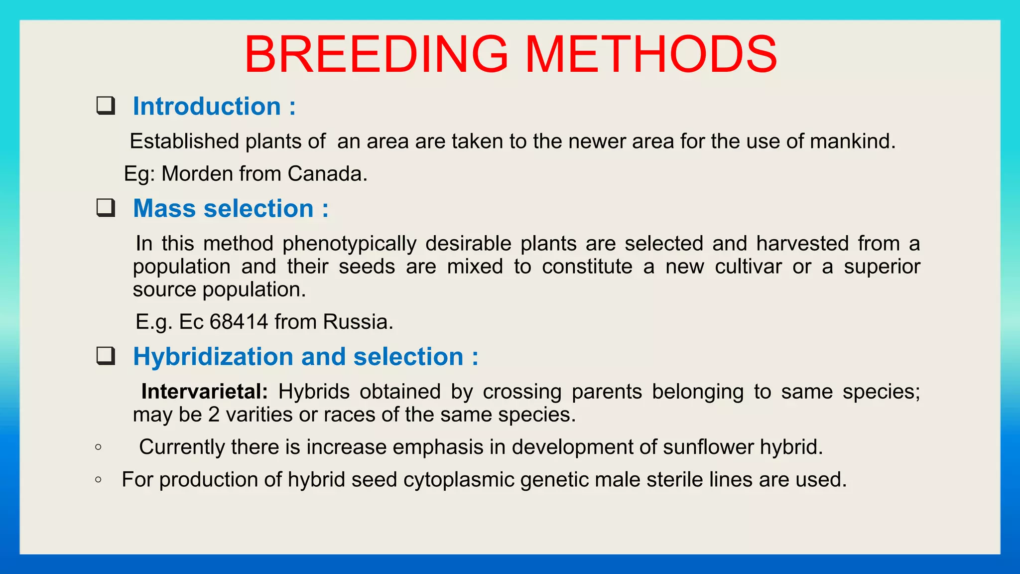 Breeding Techniques of Sunflower | PPTX | Agriculture | Industries