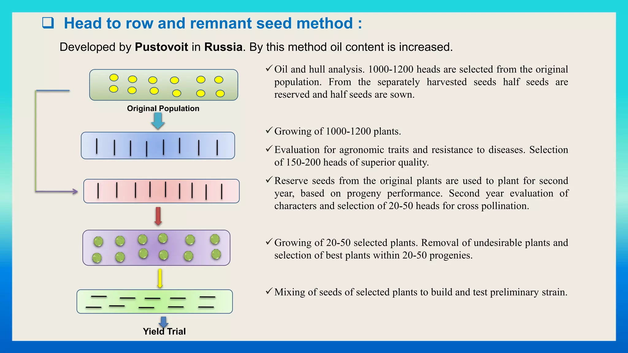 Breeding Techniques of Sunflower | PPTX