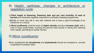 Breeding Techniques of Sunflower | PPTX | Agriculture | Industries