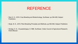 Breeding Techniques of Sunflower | PPTX | Agriculture | Industries